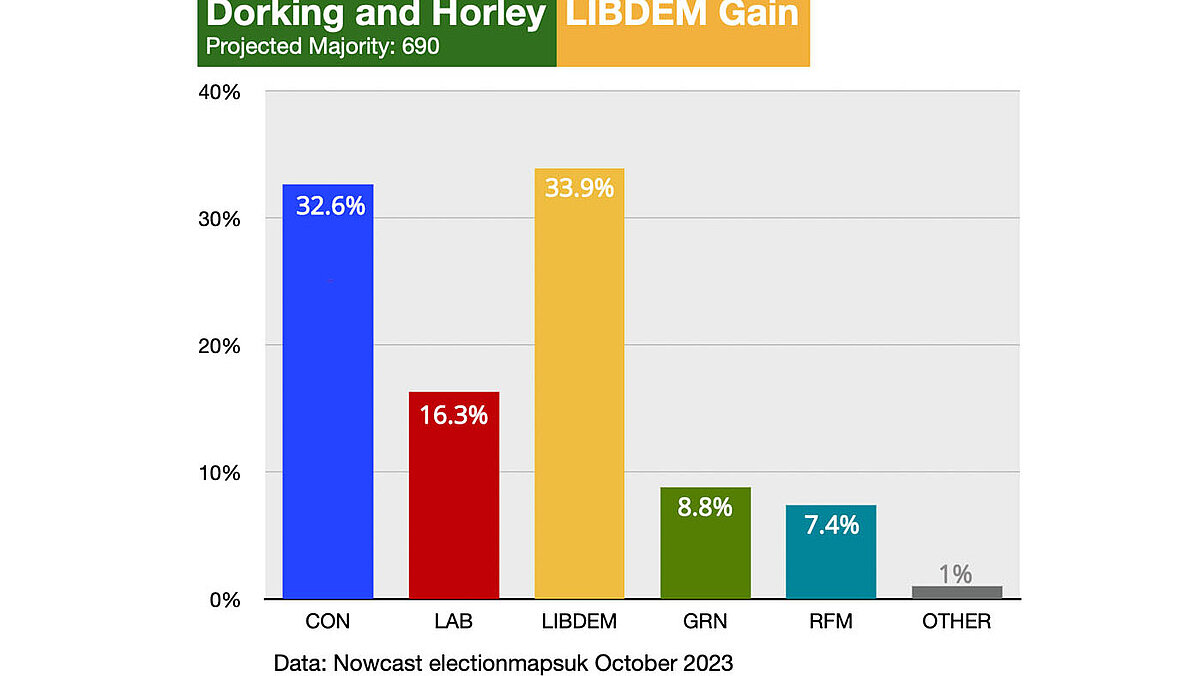 Opinion poll predicts Lib Dem win in Dorking and Horley - Mole Valley ...