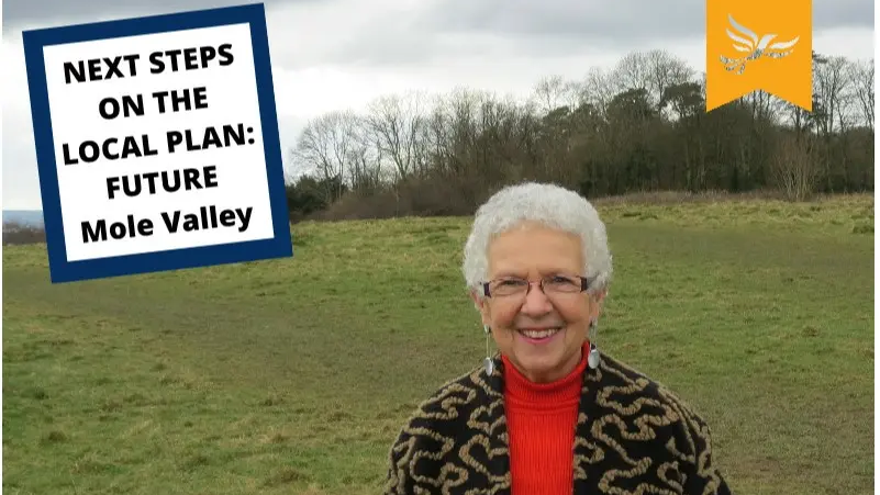 Can Mole Valley un-pause its new Local Plan? - Mole Valley Liberal ...